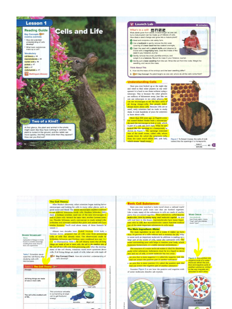 Section 1-Cells and Life Highlighted Lesson 1-2 | PDF
