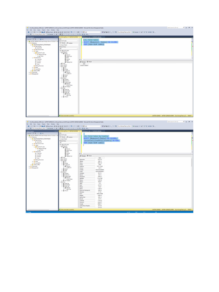33 LeTruongThaoLy MDX | PDF