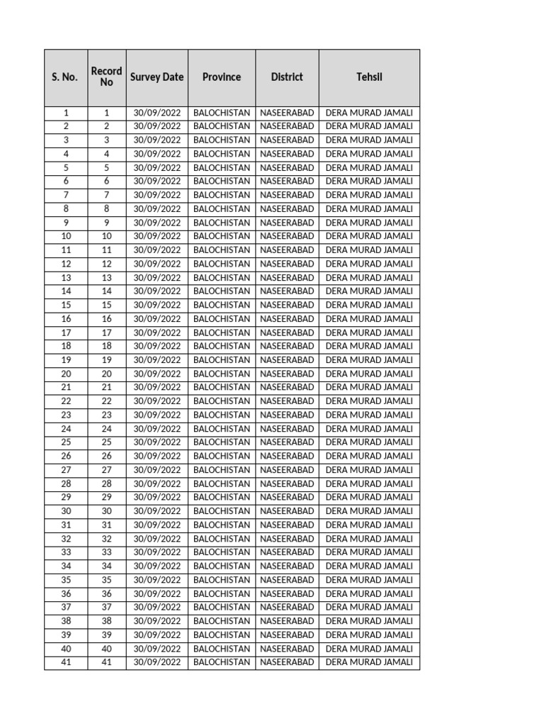 Naseerabad JS- Final Report | PDF