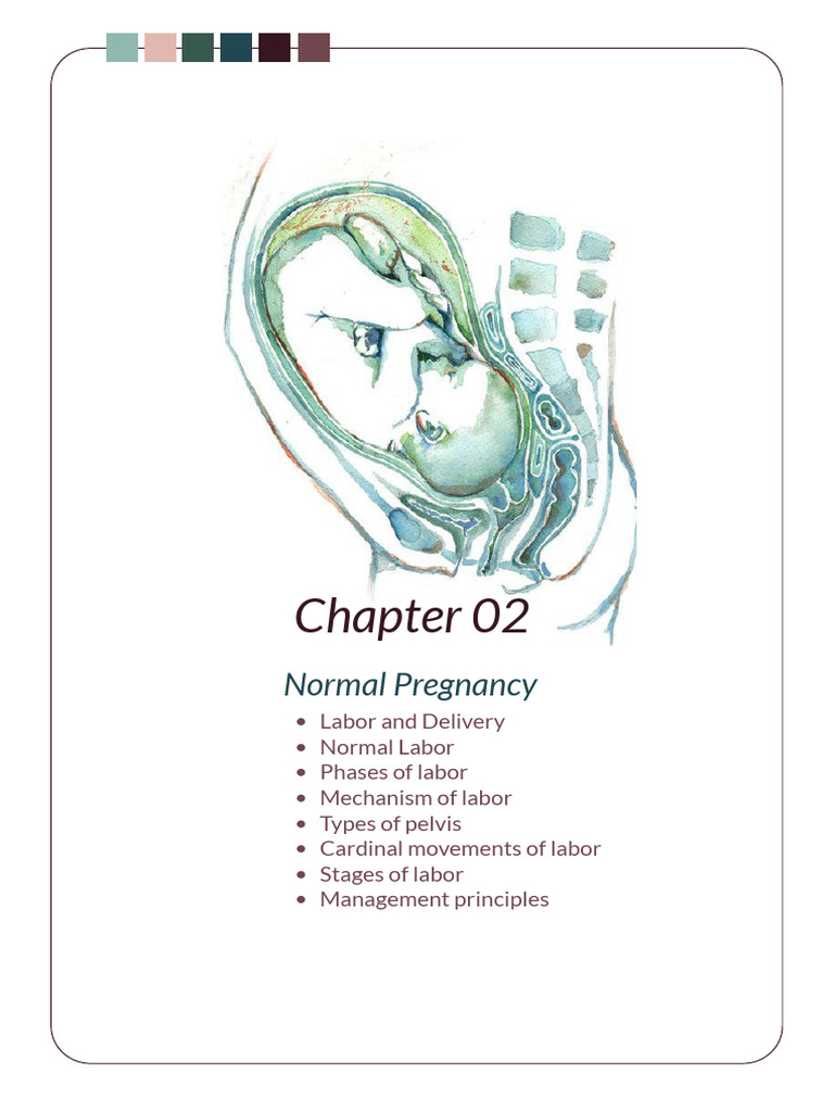Labor and delivery | PDF | Childbirth | Pelvis