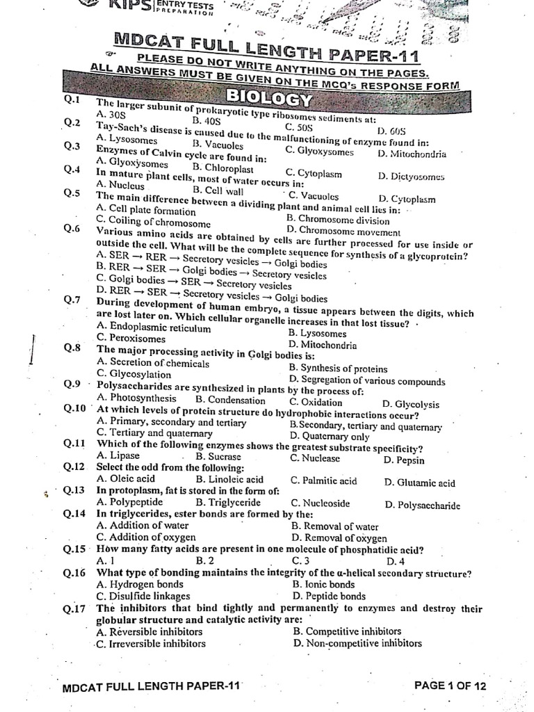 11 FLP 5 KIPS 2023 - Key | PDF