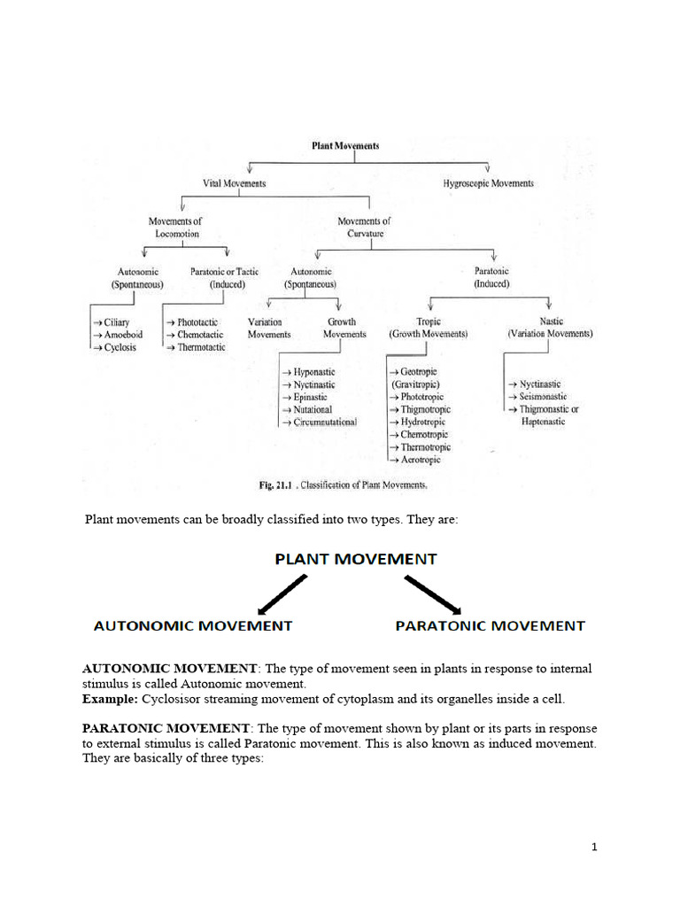 Types of Movements in Plantsiv | PDF | Root | Plant Physiology