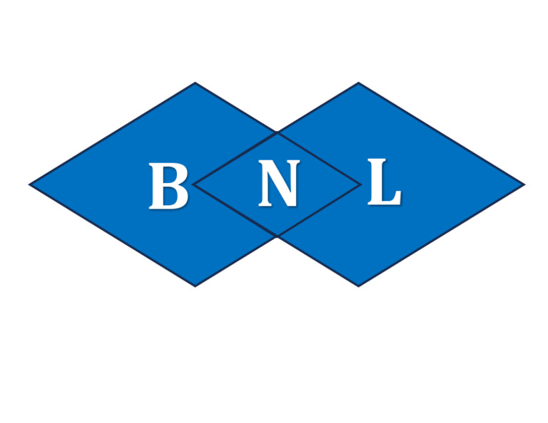 LOGO BNL | PDF