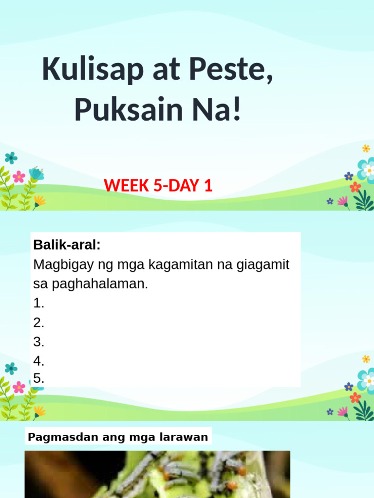 Kulisap at Peste, Puksain Na!: Week 5-Day 1 | PDF