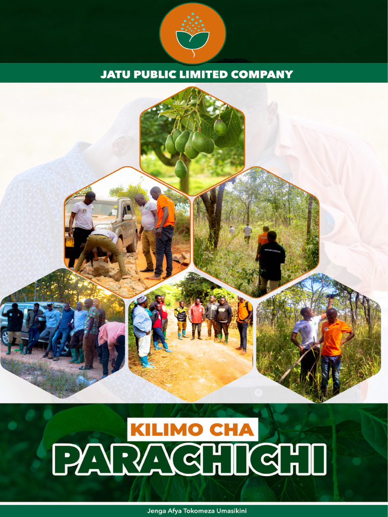 Kilimo Cha Parachichi Na Jatu 5 | PDF