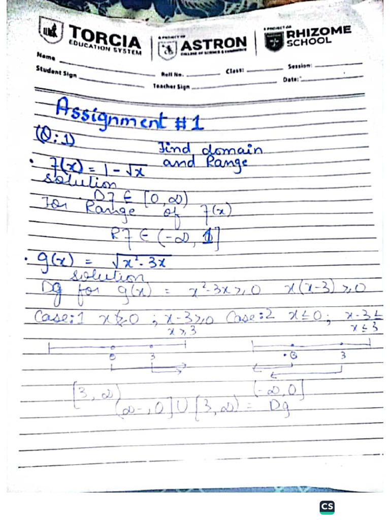 Calculus Assignment 1 | PDF