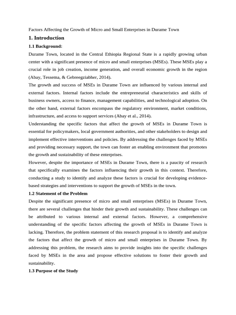 Research Proposal Developed On MSEs in Durame TOWN | PDF | Survey ...