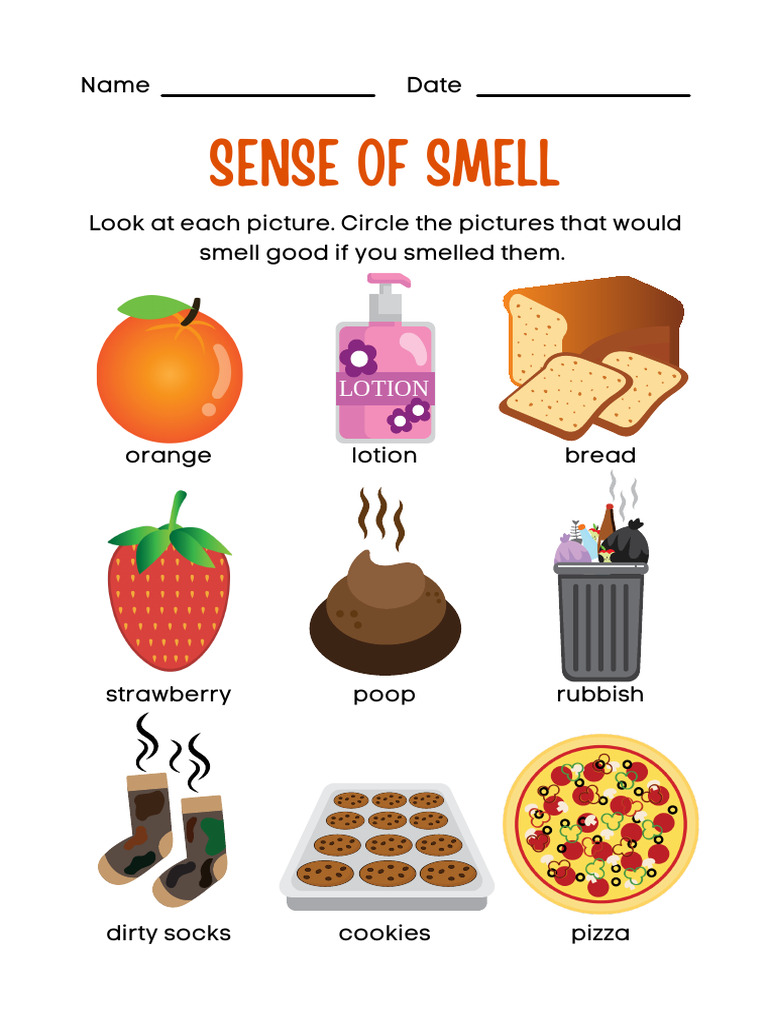 Science Activity - Sense of Smell Worksheet For Kids | PDF
