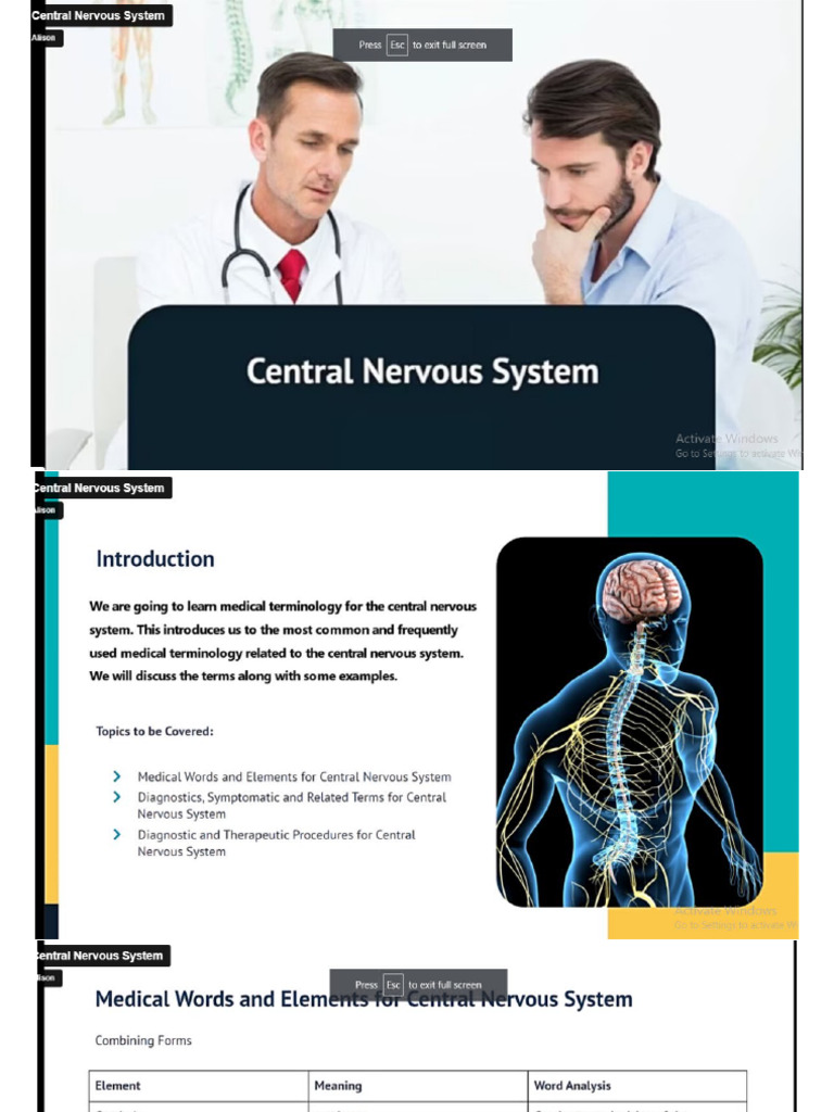 Central Nervous System | PDF