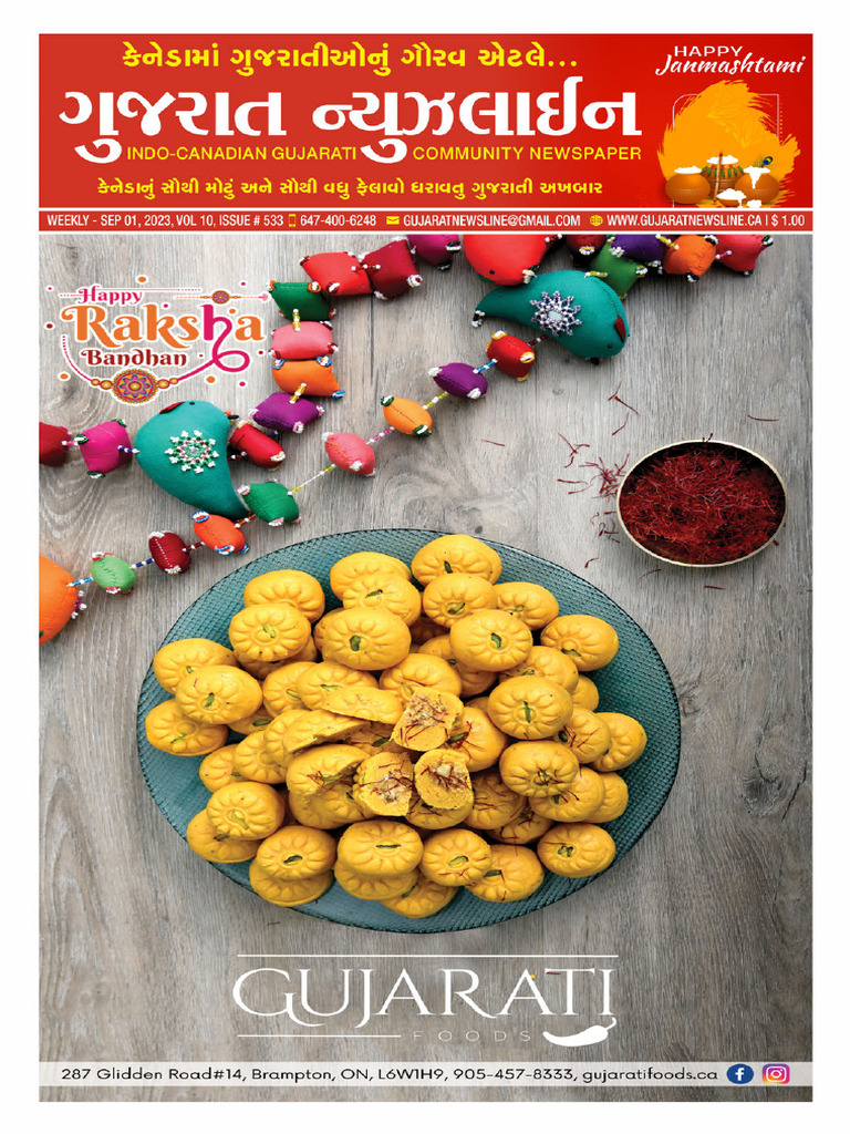 Gujarat Newsline Issue 533 Epaper Pdf 