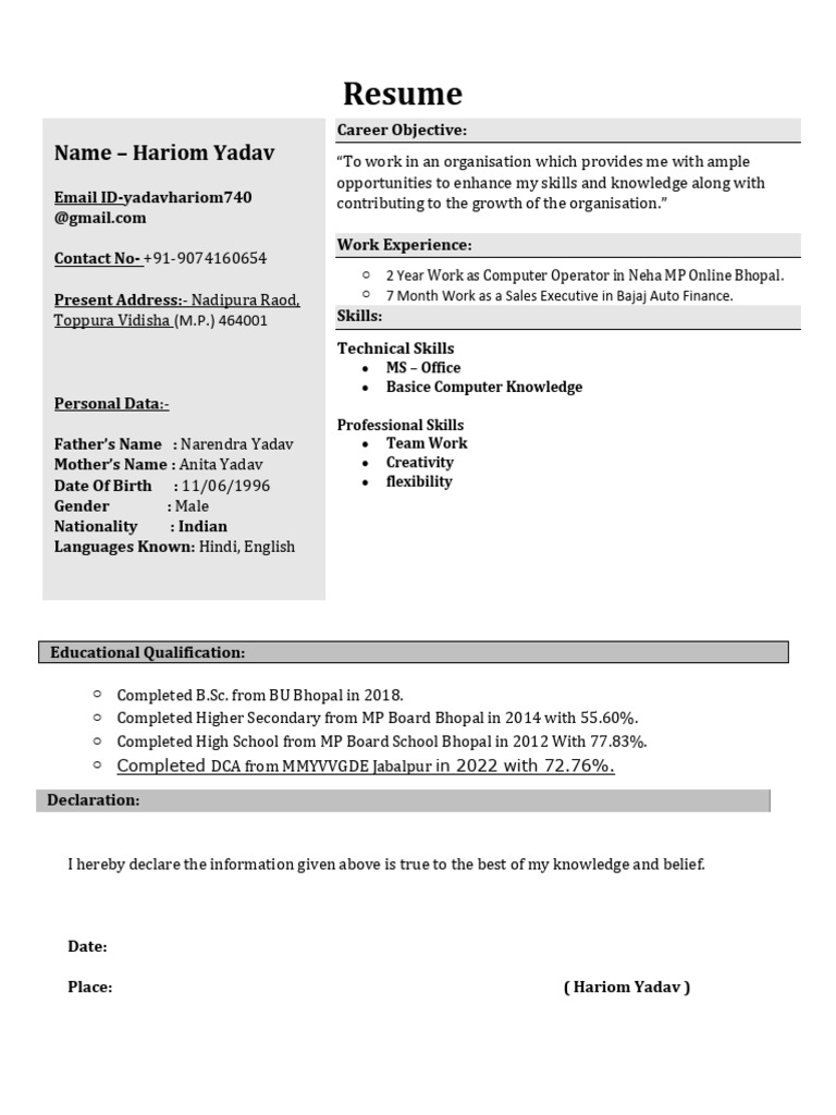 Hariom Yadav Resume: Computer Operator & Sales Executive | PDF