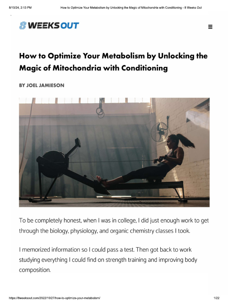Optimize Your Metabolism | PDF