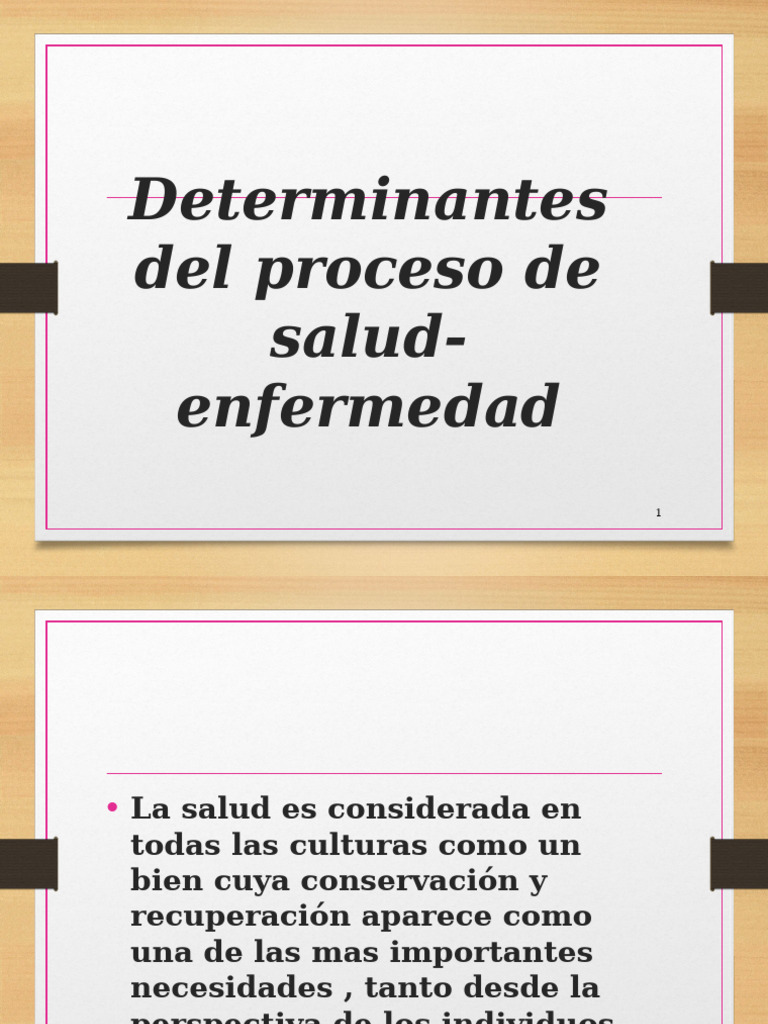 Determinantes Del Proceso De Salud Enfermedad Pdf Contaminación 6674