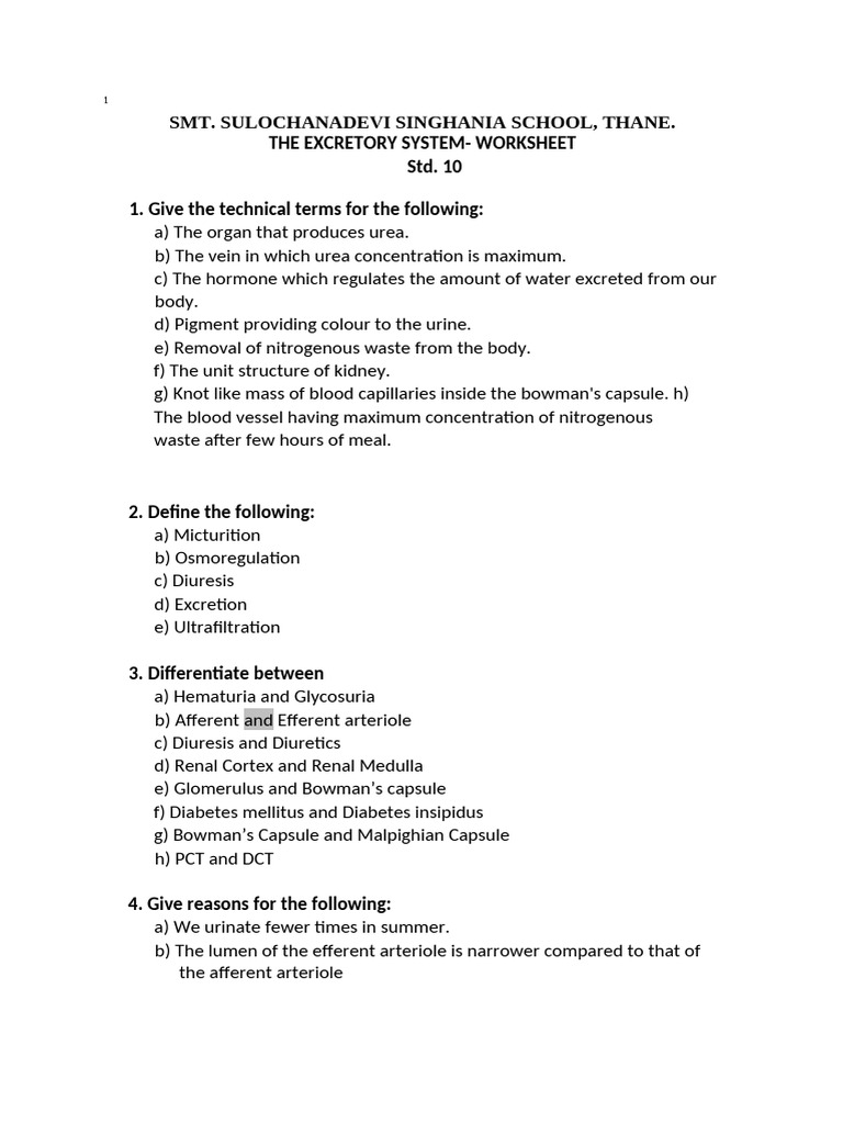 Wksheet Excretory System | PDF | Kidney | Animal Anatomy