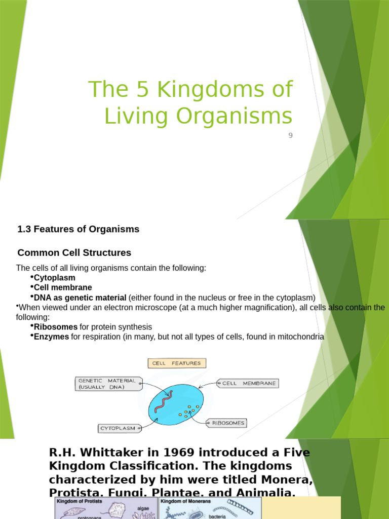 Five Kingdoms of Living Organisms | PDF | Cell (Biology) | Plants