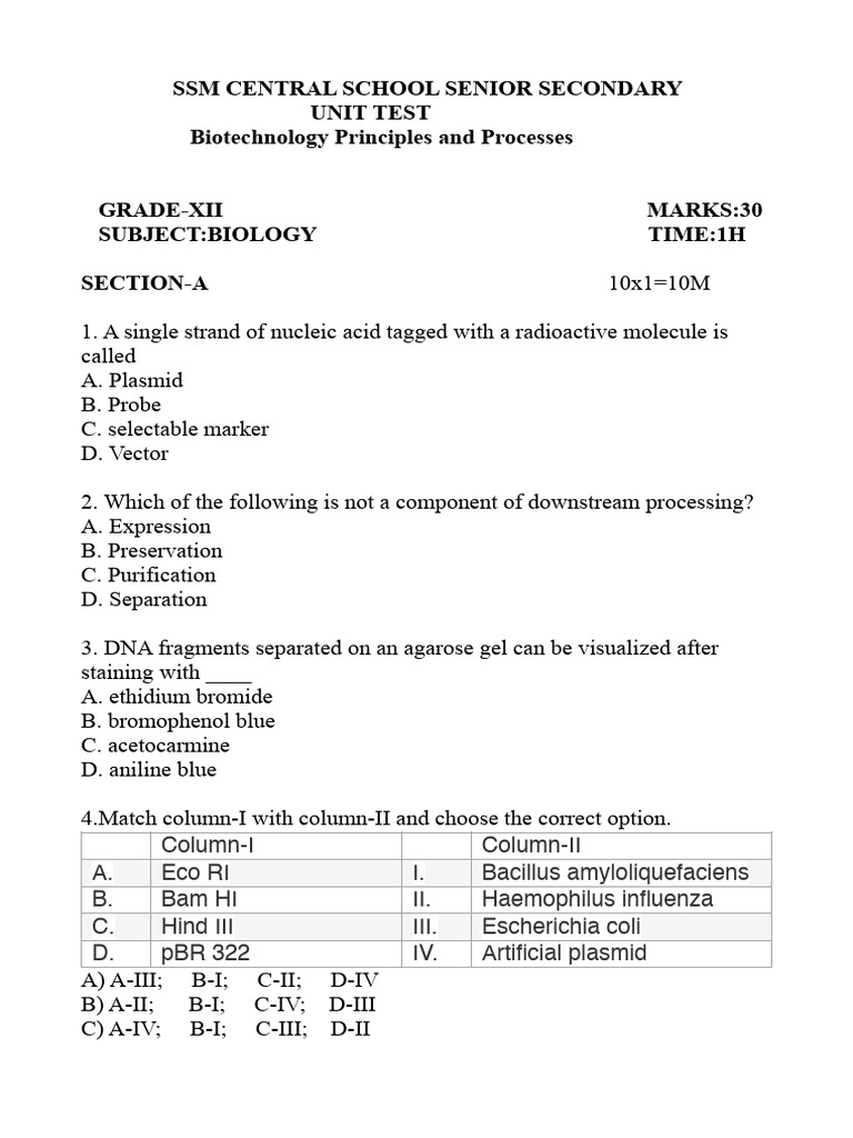 Grade 12 Biotechnology Test | PDF | Molecular Cloning | Restriction Enzyme