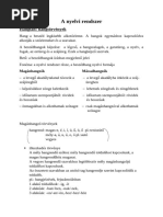 Magánhangzó Törvények | PDF