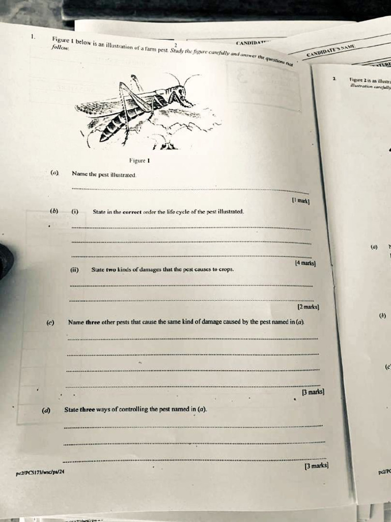 Int. Science (Alt To Practical Work) - NOVDEC 2024 | PDF