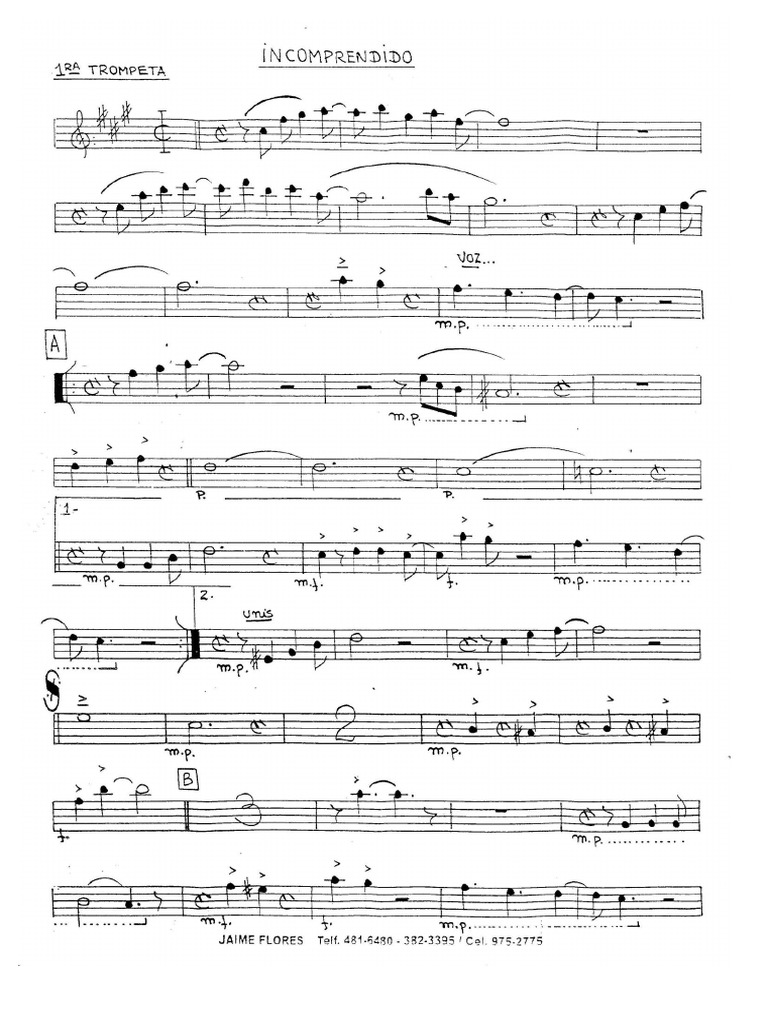 El Incomprendido | PDF