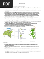 Life Sciences GR 10 Lesson 41 Anatomy of Dicotyledonous Plant | PDF ...