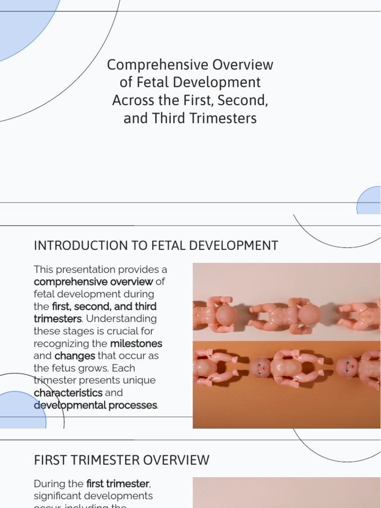 (Aathi) Comprehensive Overview of Fetal Development Across The First Second and Third Trimesters ...