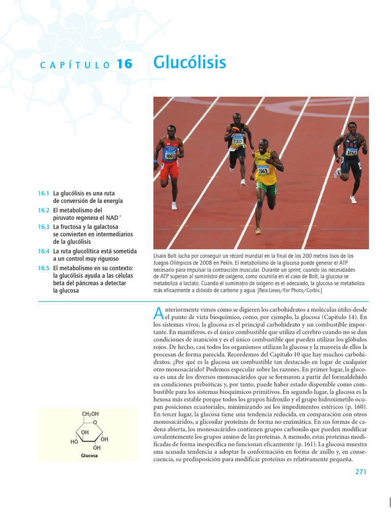 Bioquímica. Curso Básico - (Capítulo 16 Glucólisis) | PDF | Glucólisis ...