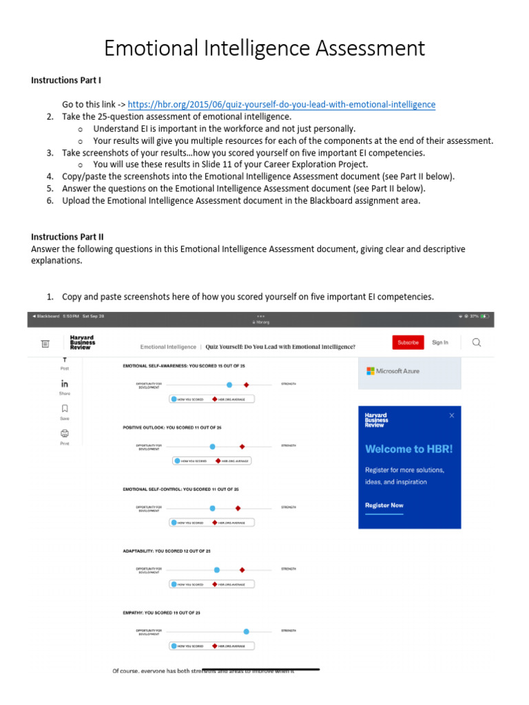 Emotional Intelligence Assessment Guide | PDF