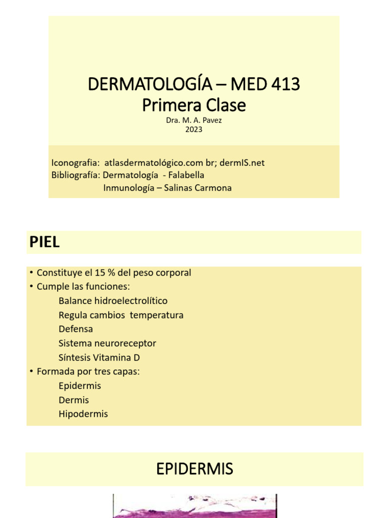 Dermato Todo | PDF | Especialidades Medicas | Causas de la muerte