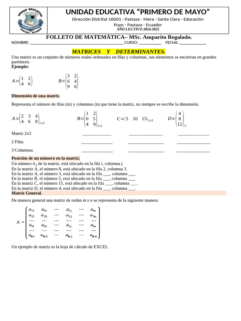 Matrices y Determinantes: Guía Completa | PDF | Matriz (Matemáticas ...