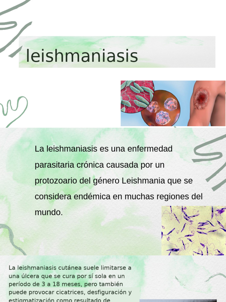 Leishmania Sis | PDF | Leishmania | Especialidades Medicas