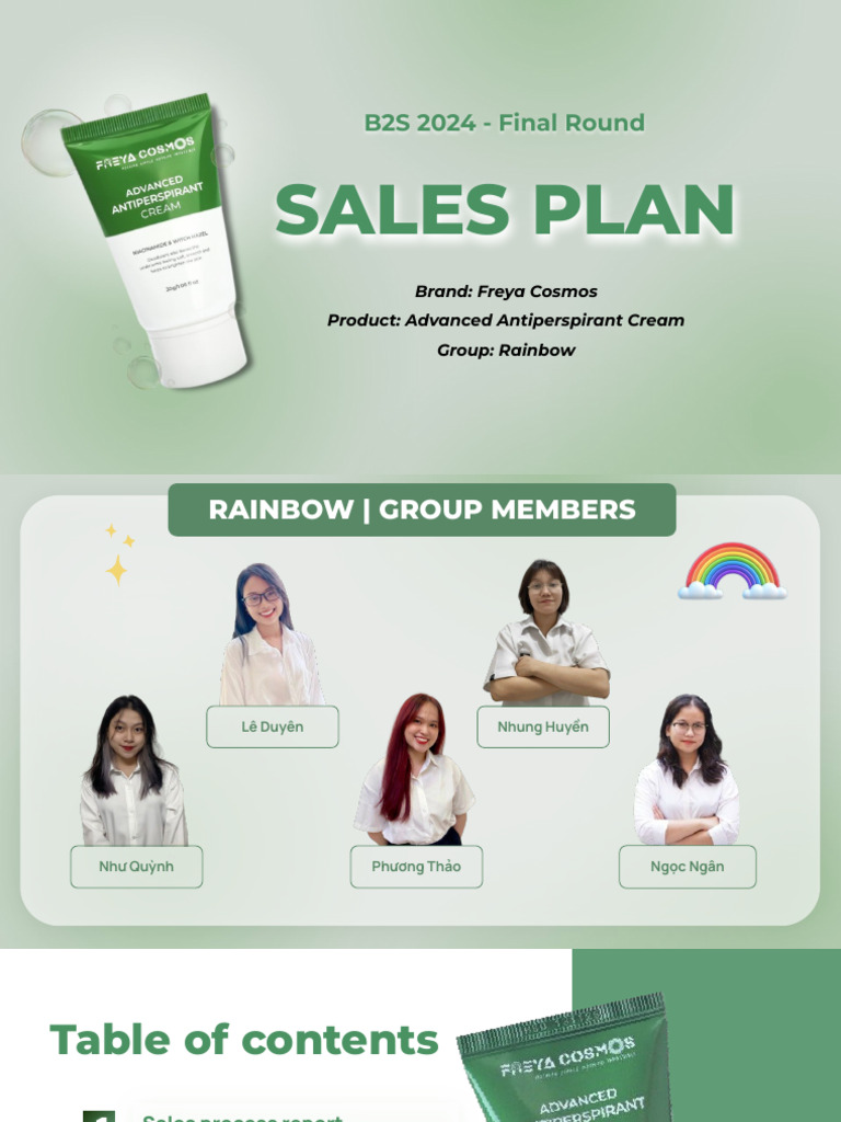 Freya Cosmos 2024 Sales Plan Analysis | PDF | Risk | Brand