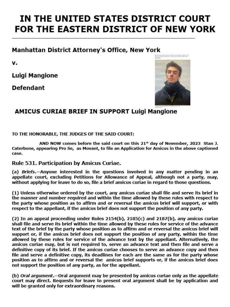 DRAFT Sunday December 15th, 2024 - Application For AMICUS BRIEF ...