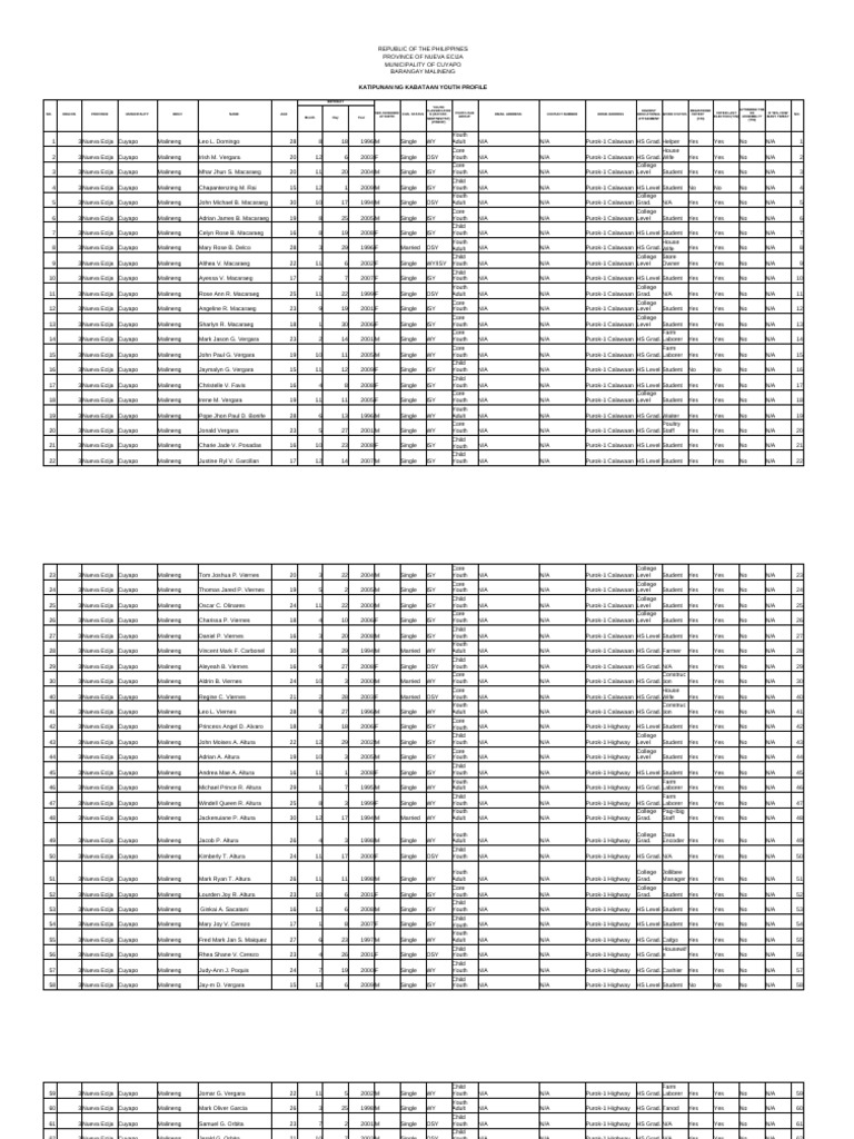 KK Profiling Malineng | PDF | Youth
