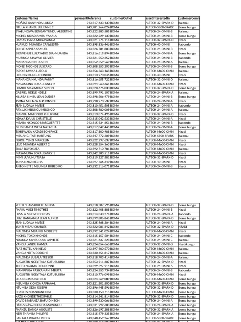 Customer Payment and Asset Data | PDF