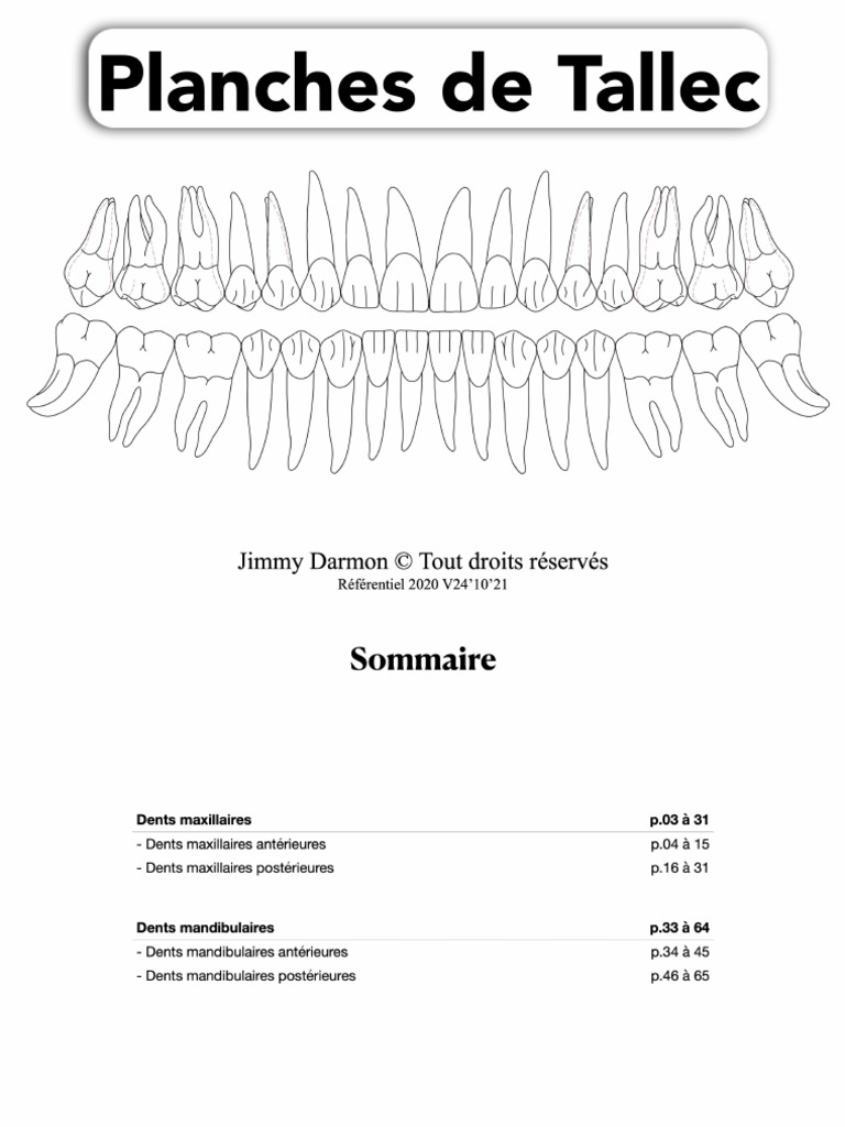 Planches de Tallec MORPHOLOGIE | PDF
