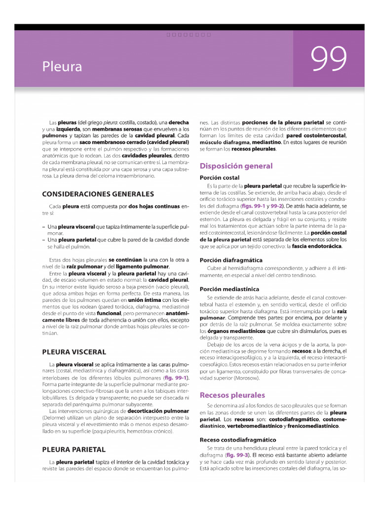 Nueva Nota 2 | PDF
