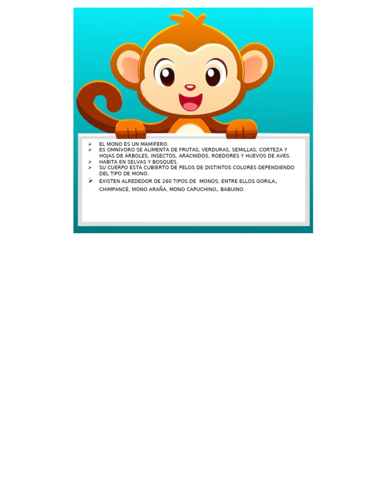 MONO | PDF