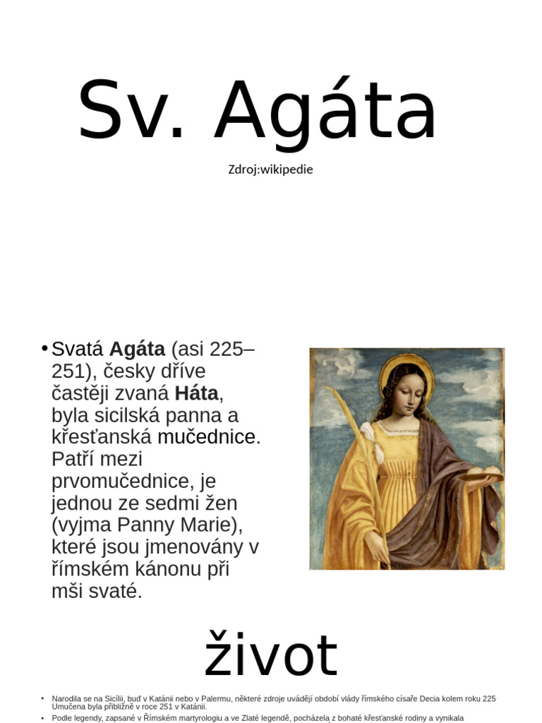 SV - Agáta Prezentace | PDF