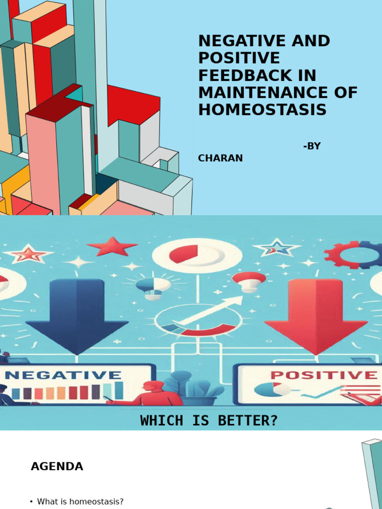 Negative and Positive Feedback in Maintenance of Homeostasis | PDF ...