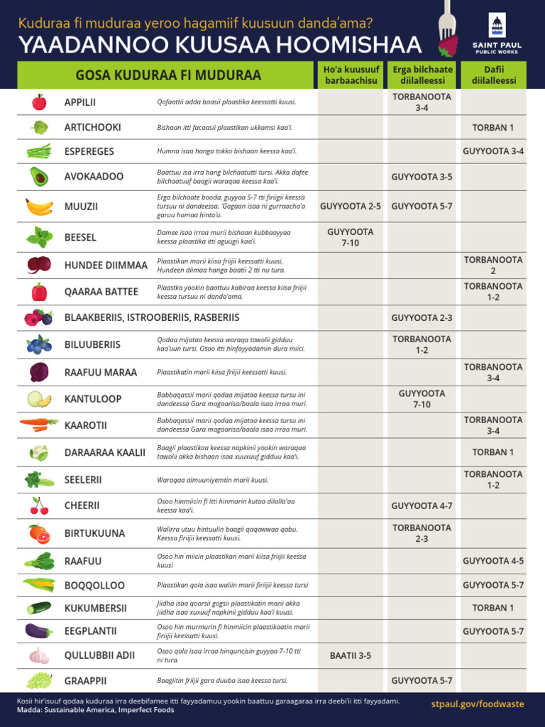 Storage Cheat Sheet - Oromo | PDF