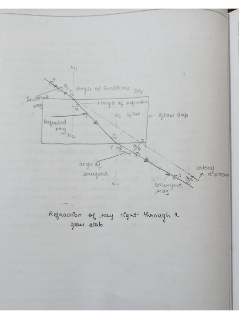 Phy Activity 5 | PDF