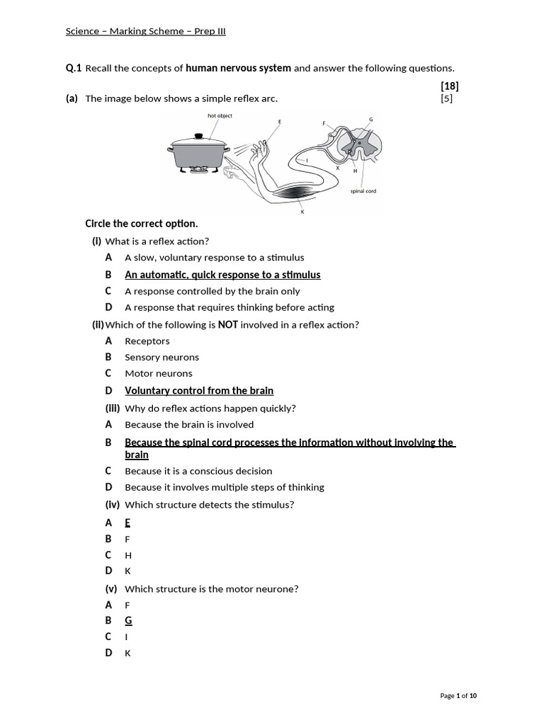 Science-8-MS | PDF | Central Nervous System | Chemical Bond