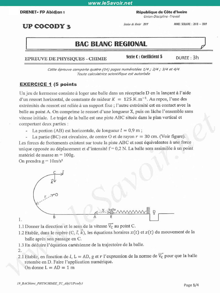19 Bacblanc Physchimie Tlec Abj1upcody3 | PDF