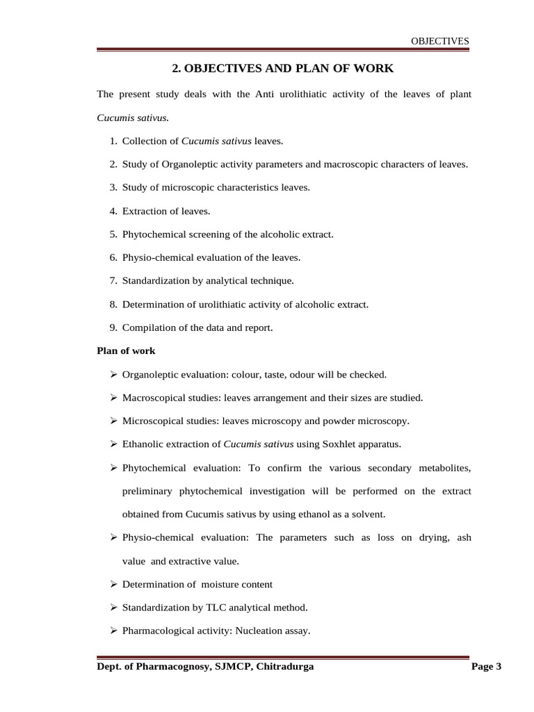 3 Objectives and Plan of Work | PDF