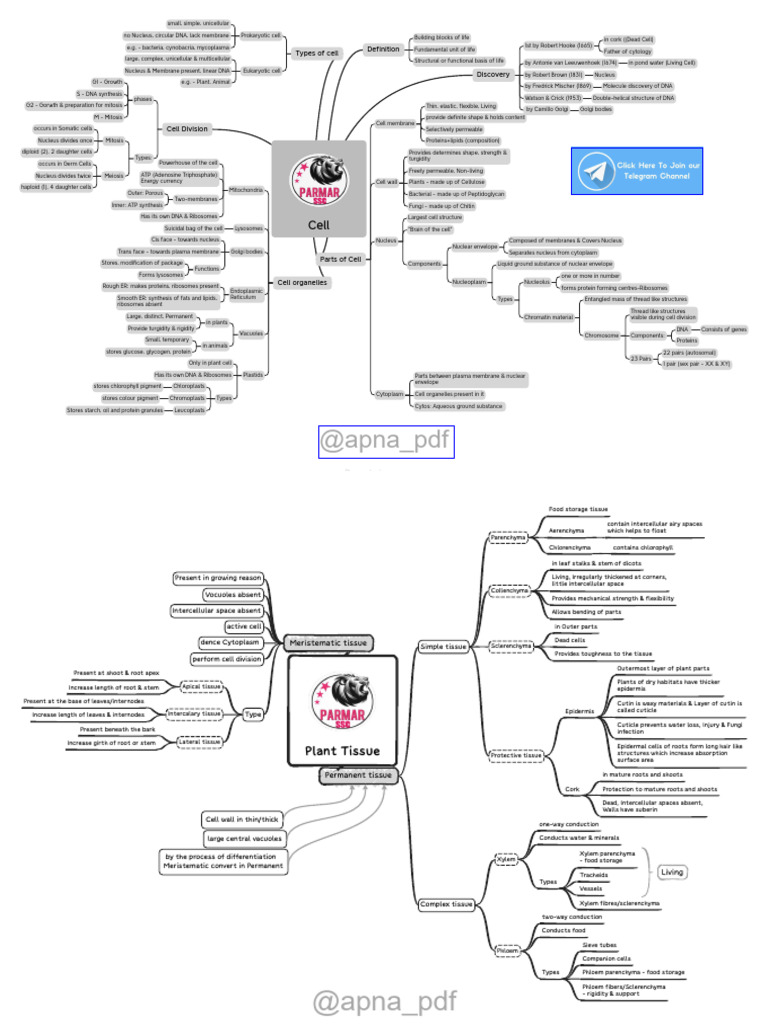 (@apna - PDF) Parmar Mind Maps English Merged by @apna - PDF | PDF ...