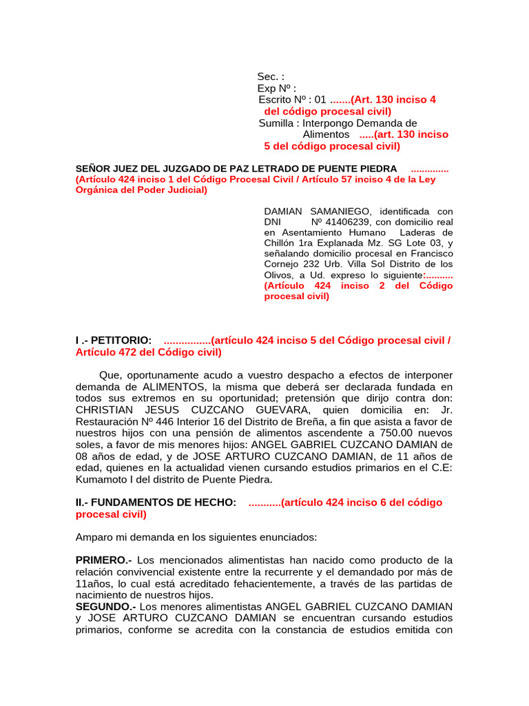 Demanda de Alimento - Maria Fernanda Pillaca Vargas QUINTO AÑO D | PDF ...