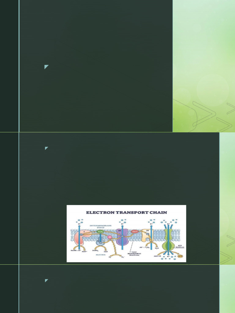 Presentación Cadena Respiratoria | PDF | Cadena de transporte de electrones | Trifosfato de ...