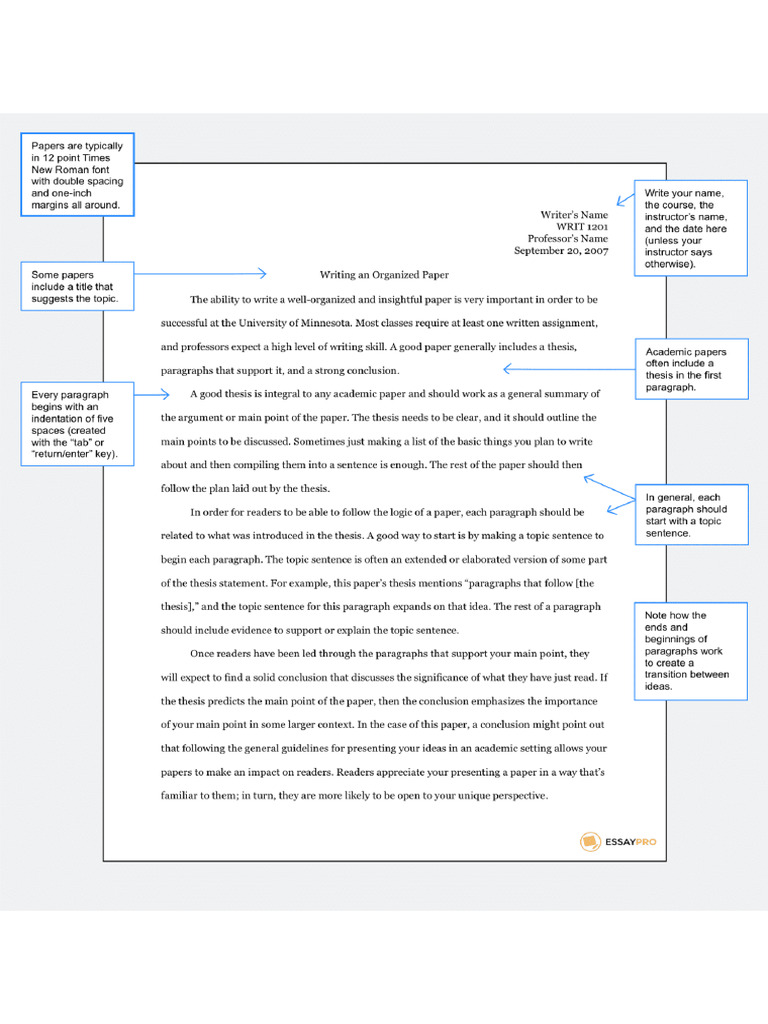 ESSAY FORMAT NEW - PNG | PDF