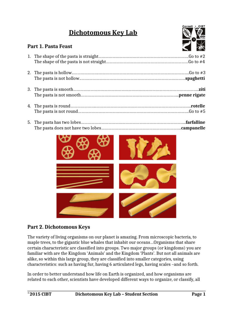 Dichotomous Key Worksheet Guide | PDF