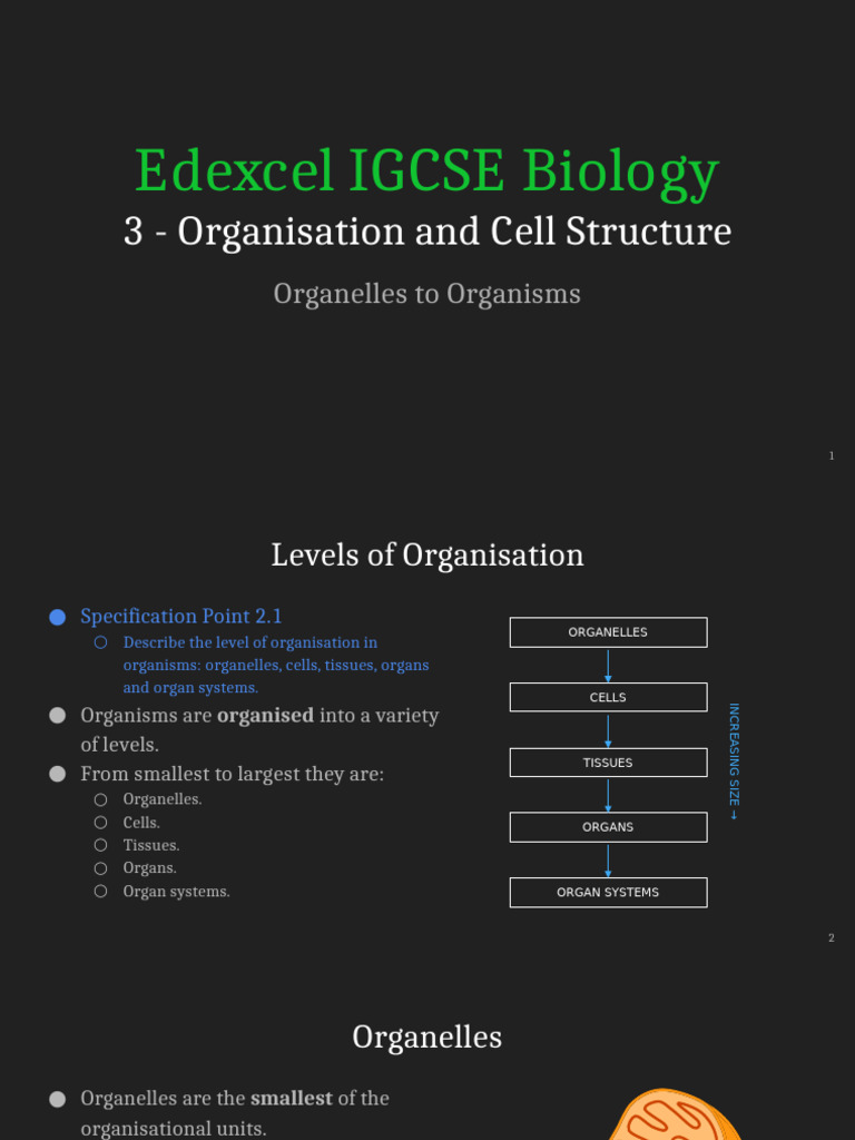 IGCSE Biology Lecture 3 Organisation and Cell Structure | PDF | Cell (Biology) | Human Body